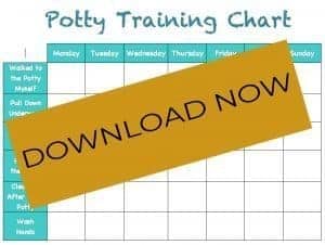 How To Potty Train a Stubborn Girl